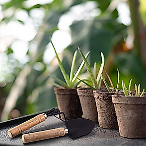 3-Piece Mini Garden Plant Tools Sets, Small Shovel Rake Spade Wood Handle for Loose Succulents Potted Flower Seedling Soil Garden Tool Sets