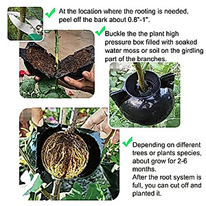 MIIIM 10 PCS Air Layering Propagation Kit with Zip Ties, Reusable Half Transparent Grafting Ball, Air Layering Pods Clear, Plant Rooting Grafting Box for Fast Propagation Plants (Medium)