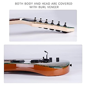 Leo Jaymz Electric Guitar Tempest Series - Mahogany Body and Burl Top,Maple Neck and Rosewood Fingerboard,Alnico V active Pickups,Wilkinson 2-point Temolo Bridge (Architect)