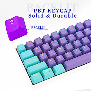 Taeeiancd PBT Keycaps for 60 Percent Mechanical Gaming Keyboard OEM Profile 61 Keycaps Set with Key Puller for Cherry MX Switches (Purple)