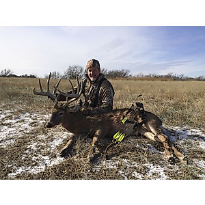 Wasp Archery SharpShooter Traditional 150 Grain Cut On Contact Broadhead