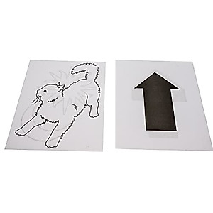 Milescraft 1221 Pantograph PRO - Complete Tracing Routing System for Custom Made Wood Signs, Black