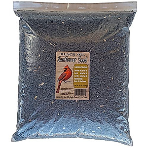 Desert Valley Premium Black Oil Sunflower Seeds - Wild Bird - Wildlife Food, Cardinals, Squirrels, Doves & More (10-Pounds)