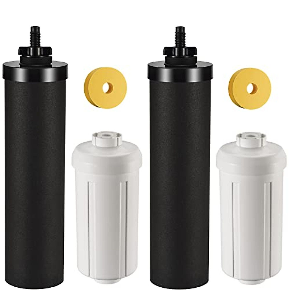 Water Filter Replacement Water Filtration System, Fluoride Filters 2 Pack and Black Filters 2 Pack