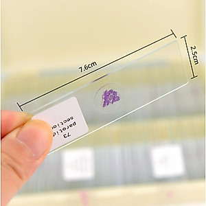 100pcs/set Teaching Microscope Human Histology Glass Prepared Slides
