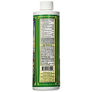 Fox Farm 6-4-4, 1-Pint FX14092 Grow Big Liquid Concentrate Fertilizer, Soil NPK 6-4, White
