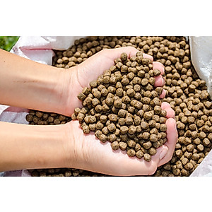 FAMILY FARM AND FEED | Premium Floating Fish Food | Pond and Lake | Pellets | 2 Pounds