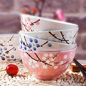 Whitenesser Japanese Rice Bowls Set of 4 - Japanese Style Hand-painted Floral Plum Ceramic Bowls set of 4 Color For Dessert Snack Cereal Soup
