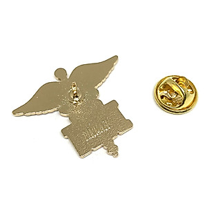 Bachelor of Science in Nursing Emblem Lapel Pin - Letters on Caduceus Brooch - BSN Medical Ceremonie Clip (BSN)
