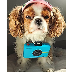 Zink Polaroid Snap Touch Portable Instant Print Digital Camera with LCD Touchscreen Display (Blue)