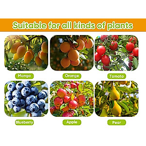 Bird Netting for Blueberry Bushes - 6Pcs Garden Netting Pest Barrier with Drawstring,Garden Plant Netting for Vegetables Fruits Tree Cicada Netting for Trees (6,32x32inch/6PACK)