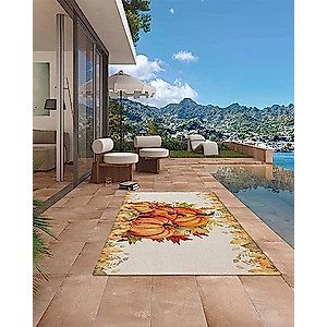 Fall Pumpkins Outdoor Area Rug 4'x6',Patio Balcony Porch Front Door Camping Camper Deck Runner Rug,Washable Carpet Indoor Living Room/Kitchen Floor Mat Thanksgiving Autumn Retro Eucalyptus Leaves
