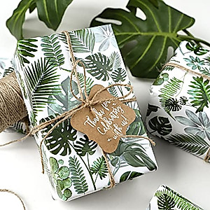 LaRibbons Monstera Leaf Wrapping Paper Roll - Perfect for Birthdays, Wedding, Baby Showers, Mother's Day - 30 inch x 33 feet
