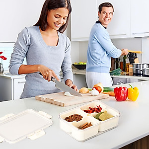 Capella Edge Snack Box - Divided Clear Serving Tray, 4 Compartments for Snacks, Fruits, Nuts, Candy - Portable for Parties, Picnics, Travel, and Entertaining