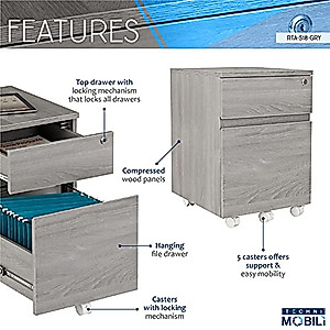 Techni Mobili Rolling Lock and Storage 2 Drawer Vertical Filing Cabinet, 15.75" L x 17.75" W x 23" H, Gray