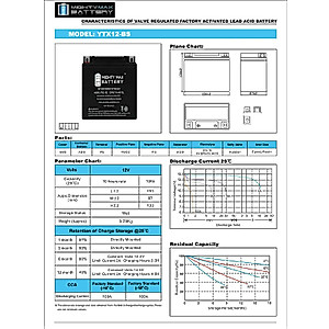 Mighty Max Battery YTX12-BS 12V 10AH Battery Replaces MBTX12U, HTX12-BS, ETX12-BS