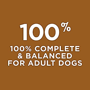 Purina Dog Chow Small Breed Dry Dog Food, Little Bites With Real Chicken & Beef - (4) 4 lb. Bags