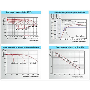 Weize Deep Cycle AGM 12 Volt 100Ah Battery, Maintenance-Free, 3% Self-Discharge Rate, 1150A Max Discharge Current, Perfect for RV, Solar, Trolling Motor, Wind, Marine, Camping and Off-Grid System