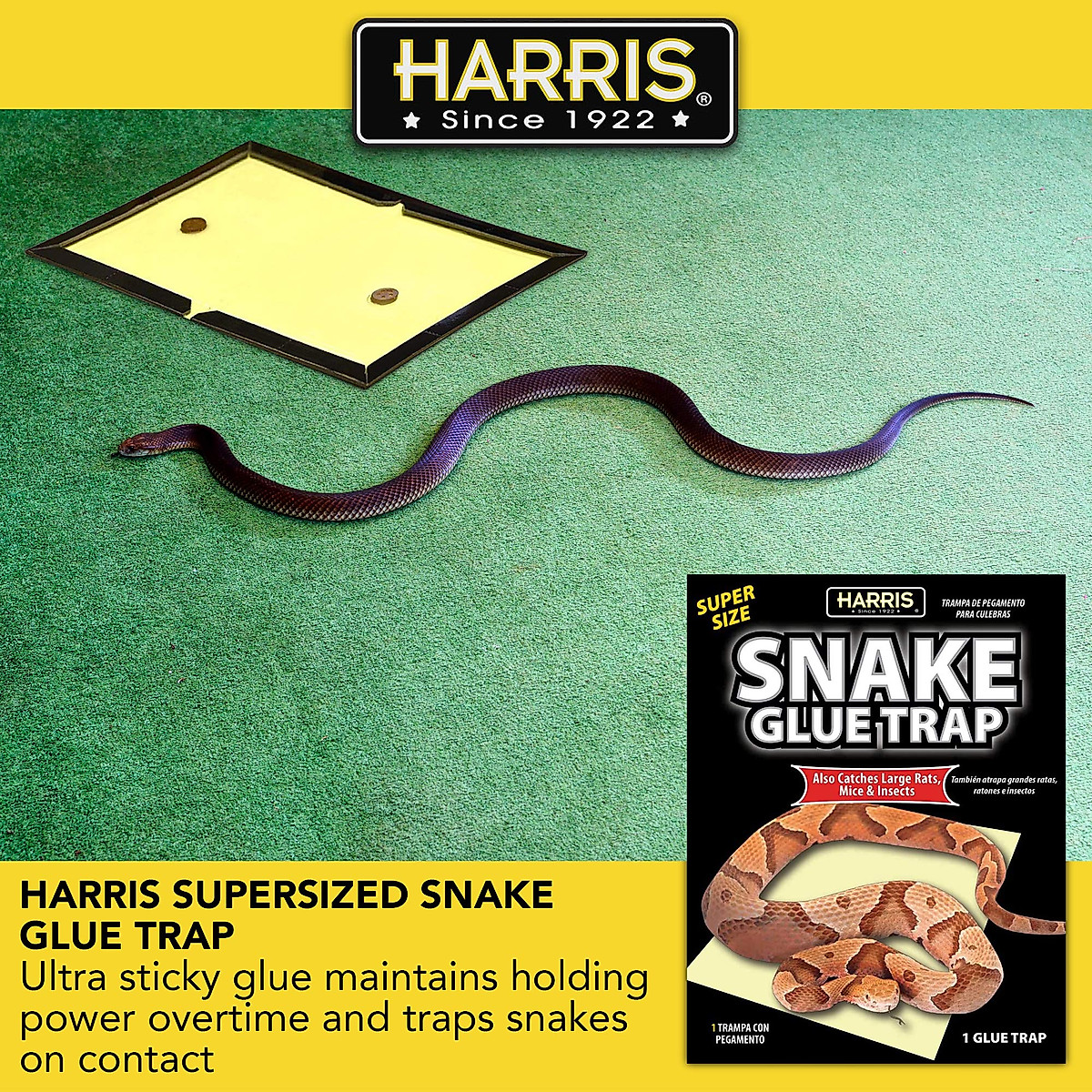 Harris Snake Glue Trap, Super Sized for Snakes, Rats, Mice and Insects (1-Pack)