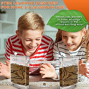 Tigerific Ant Farm for Live Ants - Real Sand Ant Colony Kit for Kids -Fun Science Habitat Set for Children, Watch Ants Dig Tunnels, Carry Sand, Hide and Drag Their Food