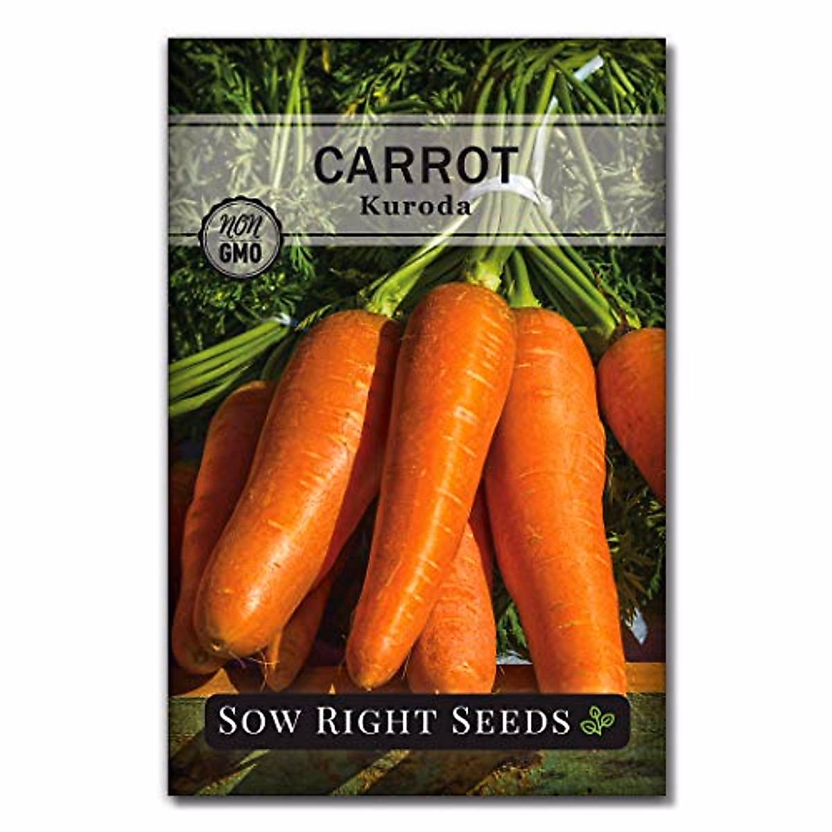 Sow Right Seeds - Kuroda Carrot Seed for Planting - Non-GMO Heirloom Packet with Instructions to Plant a Home Vegetable Garden, Great Gardening Gift (1)