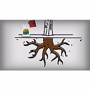 Compare-N-Save Systemic Tree and Shrub Insect Drench - 75333, 1 Gallon