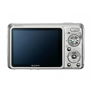 Sony Cybershot DSC-W220 12.1MP Digital Camera with 4x Optical Zoom with Super Steady Shot Image Stabilization (Silver)