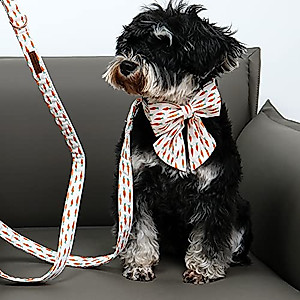 MR. CHUBBYFACE Easter Dog Collar Carrot Dog Collar with Flower Adjustable Dog Collar Bowtie for Small Medium Large Dogs