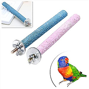 Wood Bird Cage Perch Colorful Parrot Stand Toy Platform Chew Paw Grinding Stick for Parrot Bird, 1Pc Bird Perch Parrot Stand Natural Wood Perch Parakeet ToyBird Cage Accessories for Budgie Platform R