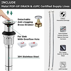 PARLOS Swivel Spout 2-Handle Lavatory Faucet Brushed Nickel Bathroom Sink Faucet with Metal Pop-up Drain and Faucet Supply Lines, Demeter 13627