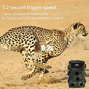 Trail Camera,2 pack 36MP 1080P Mini Trail Camera,Hunting Camera with 120°Wide-Angle 0.2s Trigger Speed,No Glow Night Vision Motion Activated IP67 Waterproof with 32GB Card for Wildlife Scouting