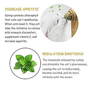 2 pcs Catnip Balls, Pure Natural Mint Leaf Rotating Interactive Cat Toys, Cat Removal Hairball Toys Can Be Sticky On Wall, Teeth Cleaning Catmint Toy for Cat, Kitten, Kitty Playing Chewing
