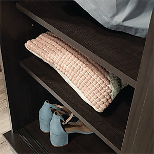 Sauder HomePlus Sliding Door Wardrobe Cabinet in Dakota Oak, Dakota Oak Finish