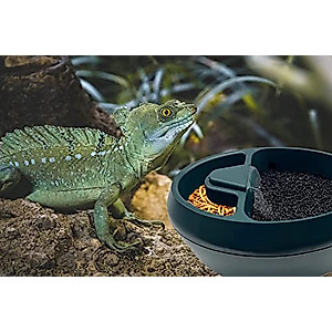 MIDOGAT 2 in 1 Reptile Water Dispenser with Treats Trough, Chameleon Water Fountain, Lizard Drinker Provided Flowing Water for Turtle Snake Spider Frog Gecko