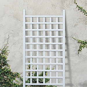Dura-Trel Country Garden 35 by 66 Inch Indoor Outdoor Garden Trellis Plant Support for Vines and Climbing Plants, Flowers, and Vegetables, White