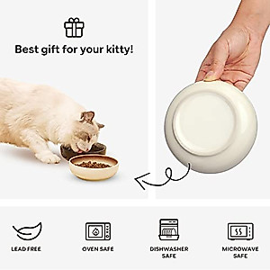 Ceramic Cat Bowls, Toptier Cat Bowls Cat Dishes for Food and Water, Shallow Cat Food Bowls Pet Dishes for Cats, Kittens, and Small Animals, Set of 2, Black and White