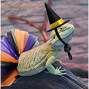 Vehomy 4Pcs Halloween Bearded Dragon Witch Costume Bearded Dragon Witch Hats Tutu Skirts Lizard Witch Outfit Small Pet Halloween Witch Costume for Chick Hamster Bird Parrot Bearded Dragon