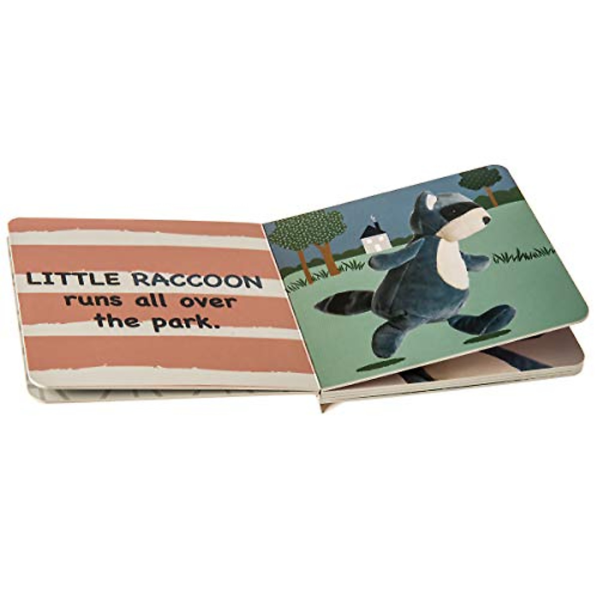 Mary Meyer Leika Baby Board Book 6 x 6 Inches, Little Raccoon