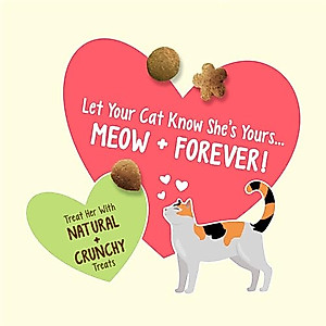 Purina Friskies Made in USA Facilities, Natural Cat Treats, Party Mix Natural Yums Catnip Flavor - 20 oz. Canister