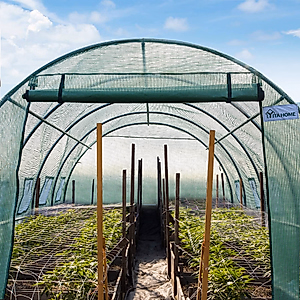 YITAHOME10'x7'x7' Greenhouses Large Walk-in Green House Heavy Duty Tunnel Green Houses Outdoor Portable Plant Gardening Upgraded Galvanized Steel Frame Zipper Doors 5 Crossbars Garden