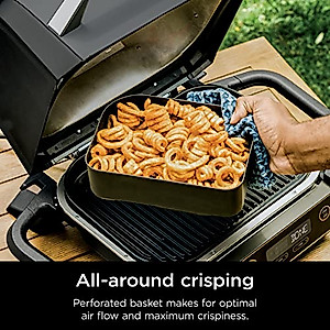 Ninja XSKCRSPBKT Woodfire, Combo Crisper Basket, 2.5-Quart Capacity, Compatible with Ninja Woodfire Grills (OG700 series), Nonstick, Black