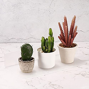 PATIKIL 11.81 x 3.94 Inch Acrylic Floating Shelf, Floating Wall Mounted Shelves for Bathroom Wall Decoration, Transparent 2 Pack