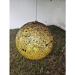 Title Gnat Ball - Replacement - Gnats, House Fly, No-See-Um, aphids whiteflies, and Love Bug Trap