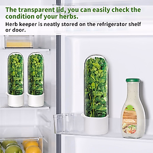 UEOZ Herb Keeper for Refrigerator, Herb Saver for Refrigerator, Cilantro Container, Vegetable Preservation Bottle for Cilantro, Mint, Parsley, Asparagus, Keeps Greens Fresh for 2-3 Weeks (2PCS)