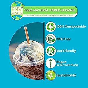 EnvGreens Biodegradable Paper Drinking Straws - 100% Eco-Friendly Compostable & Disposable Drinking Straws for Juices, Restaurants and Party supplies (100 Pack)