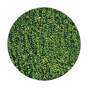Renaiss 6x6ft Green Leaves Round Backdrop Covers for Photoshoot Man Woman Portrait Foliage Wall Circle Photography Background Wedding Baby Shower Newborn Birthday Party Decor Photo Booth Props