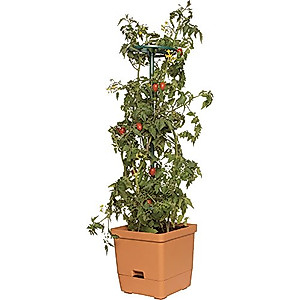 Hydrofarm GCTT Tomato 3-Foot Tree Tower, Orange and Green