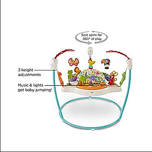 Fisher-Price Baby Bouncer Animal Activity Jumperoo With Music Lights Sounds And Developmental Toys For Infants