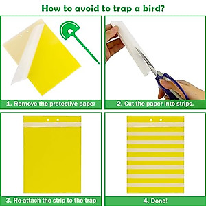 50 Sheets Sticky Fly Traps, Dual-Sided, for Flying Insect, Indoor and Outdoor, 8x6 Inch, Yellow