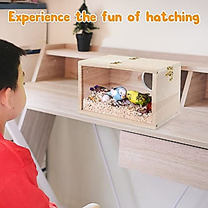 Rypet Parakeet Nesting Box Transparent Design, Bird Nest Breeding Box with Perch Wood Bird Cage House for Cockatiel Lovebirds Budgie Finch Parrotlets Canary